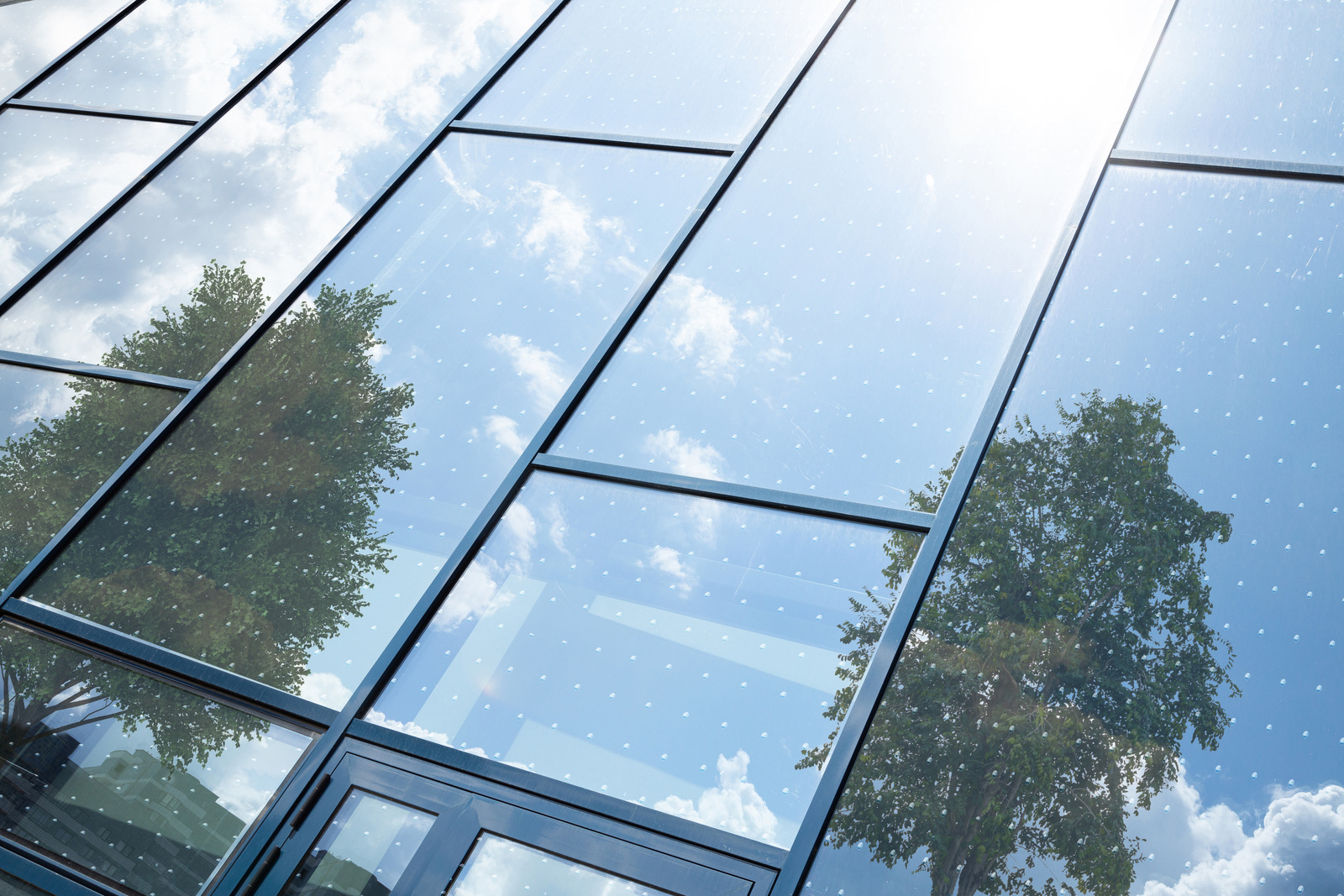 Eastman stellt PVB-Zwischenlagen für Vogelschutzglas vor - So wird ...