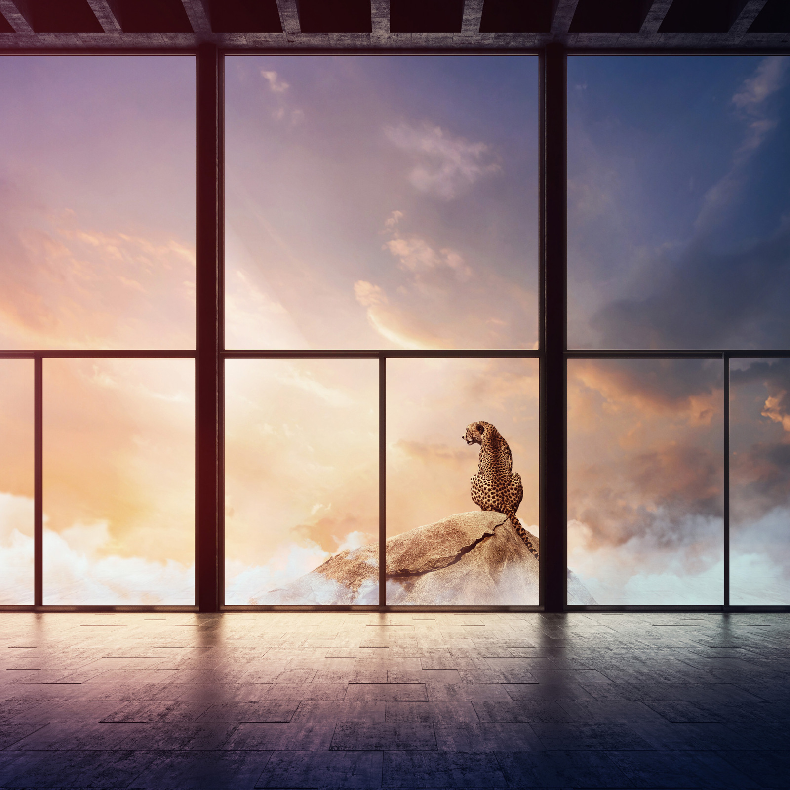 Pilkington Mirai, das Glas mit 50% weniger gebundenem Kohlenstoff